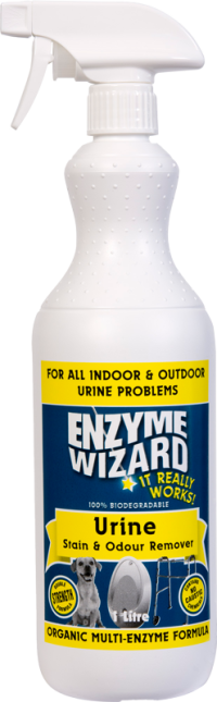Urine Stain & Odour Remover – EnzymeWizard