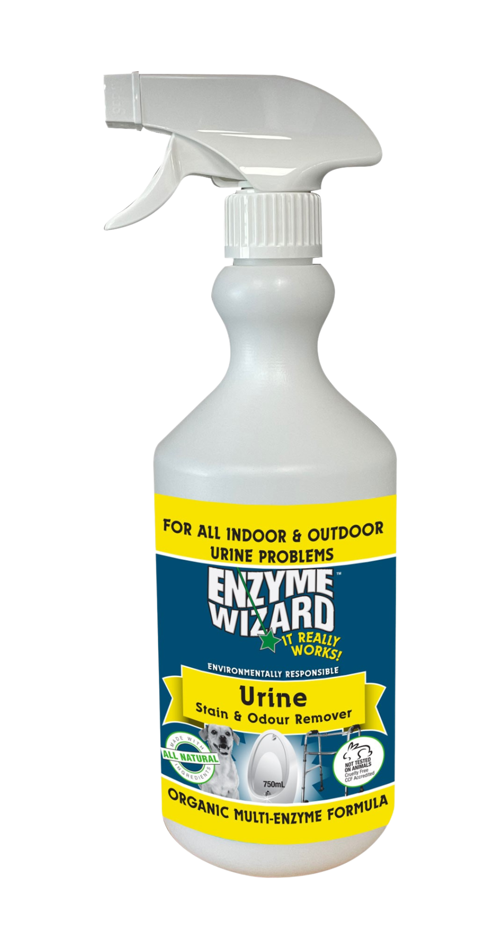 Urine Stain & Odour Remover – EnzymeWizard
